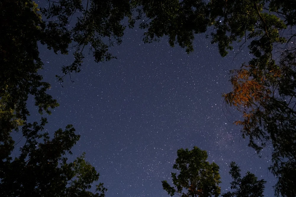 10 Places Not to Miss in Michigan’s Thumb — Mi Roadtrip