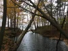 Pilgrim Haven Natural Area — Mi Roadtrip