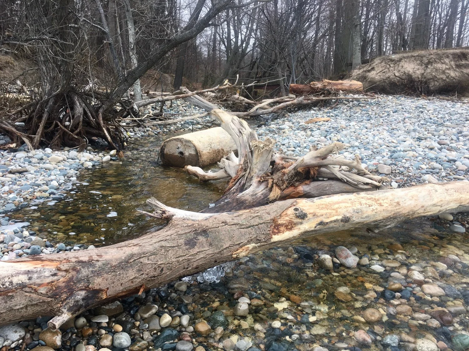 Pilgrim Haven Natural Area — Mi Roadtrip