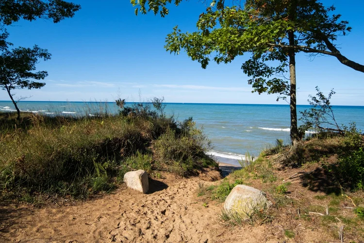 Magoon Creek Natural Area — Mi Roadtrip