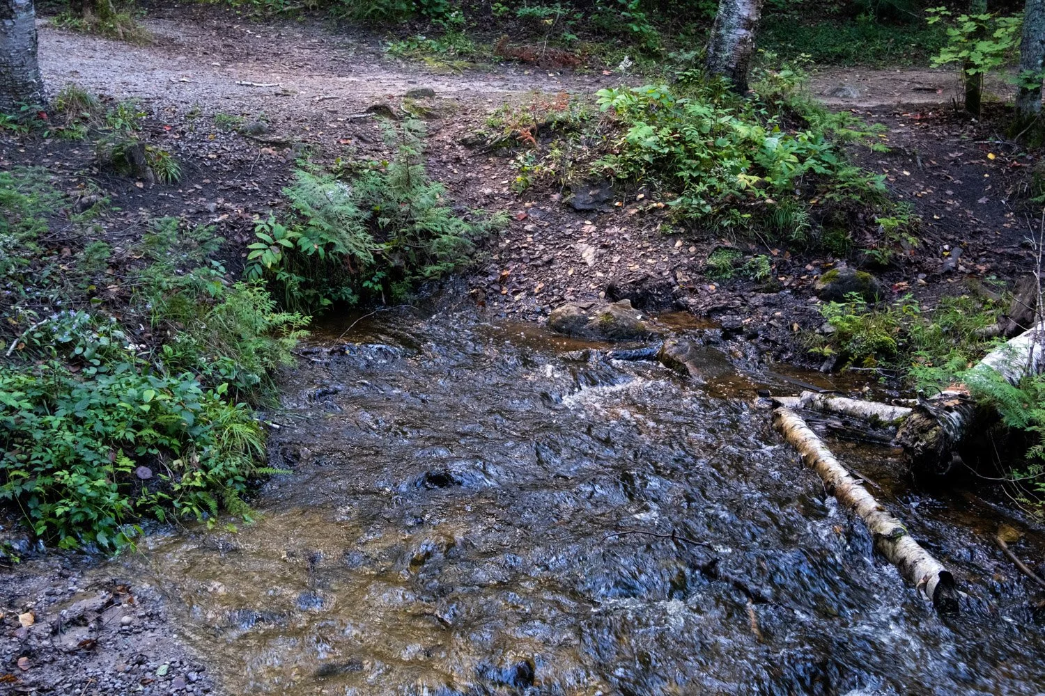 Underground Little Ocqueoc River — Mi Roadtrip
