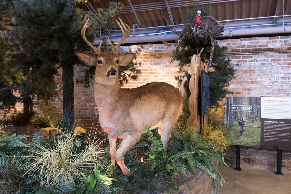DNR Outdoor Adventure Center — Mi Roadtrip