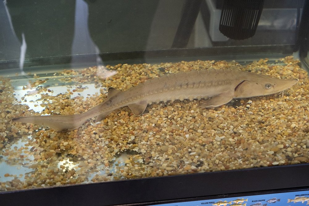 DNR Outdoor Adventure Center — Mi Roadtrip