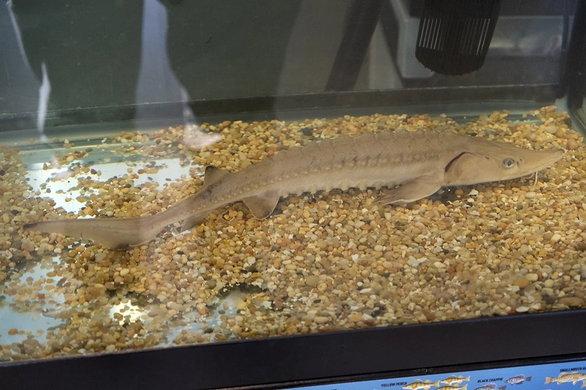 DNR Outdoor Adventure Center — Mi Roadtrip
