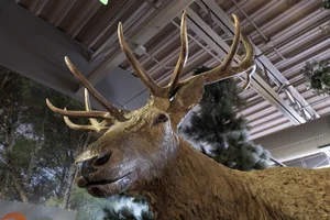 DNR Outdoor Adventure Center — Mi Roadtrip