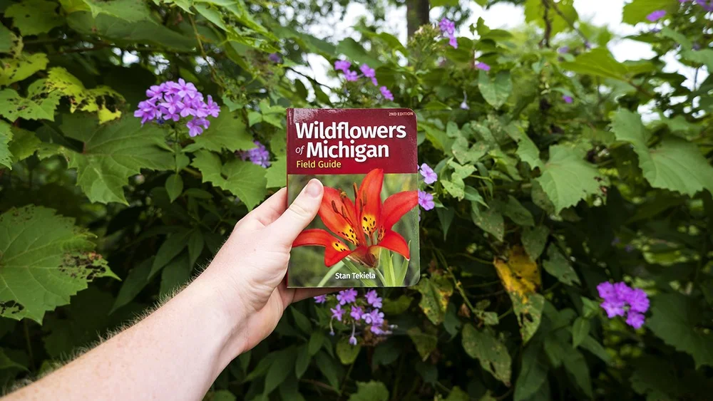 Books For Your Next Trip to Michigan’s Upper Peninsula — Mi Roadtrip
