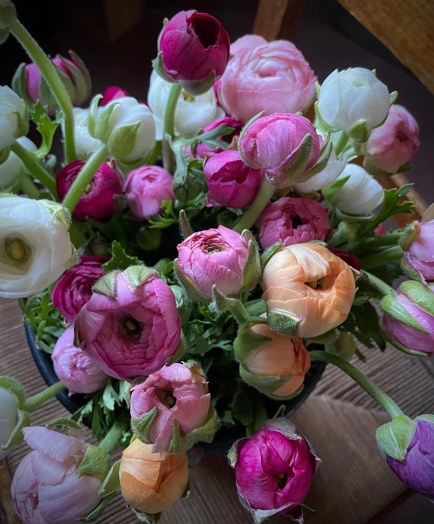 Harvest Home Flowers