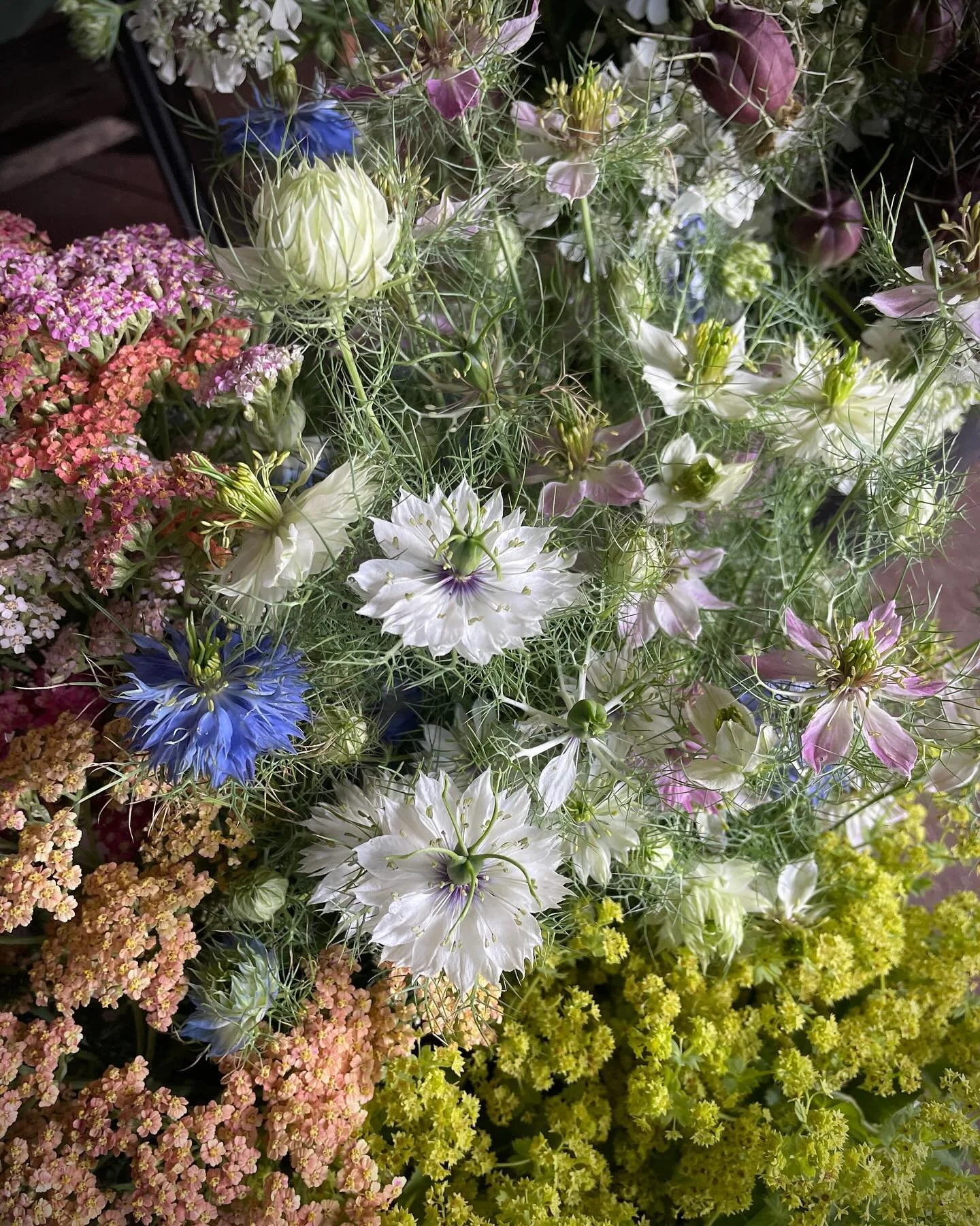 Harvest Home Flowers
