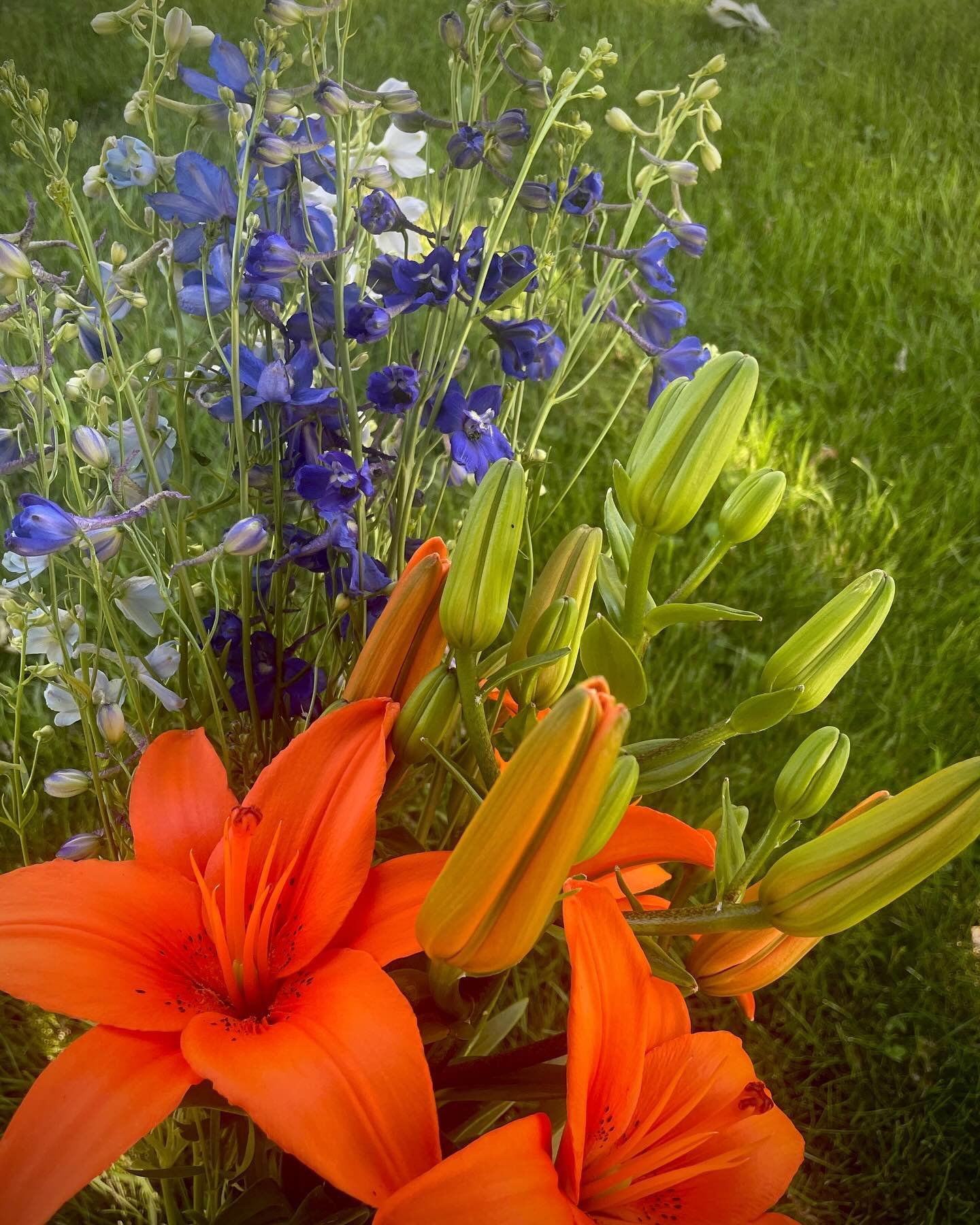 Harvest Home Flowers