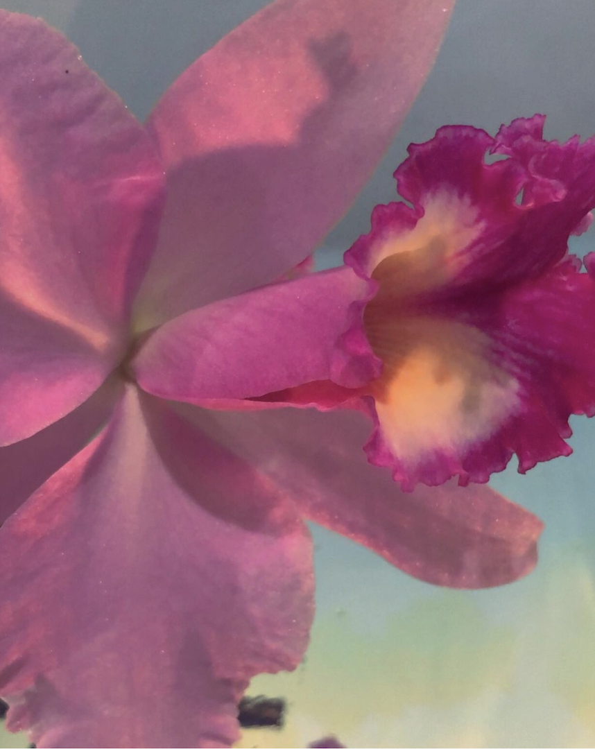 BLOG — Kate Coffey