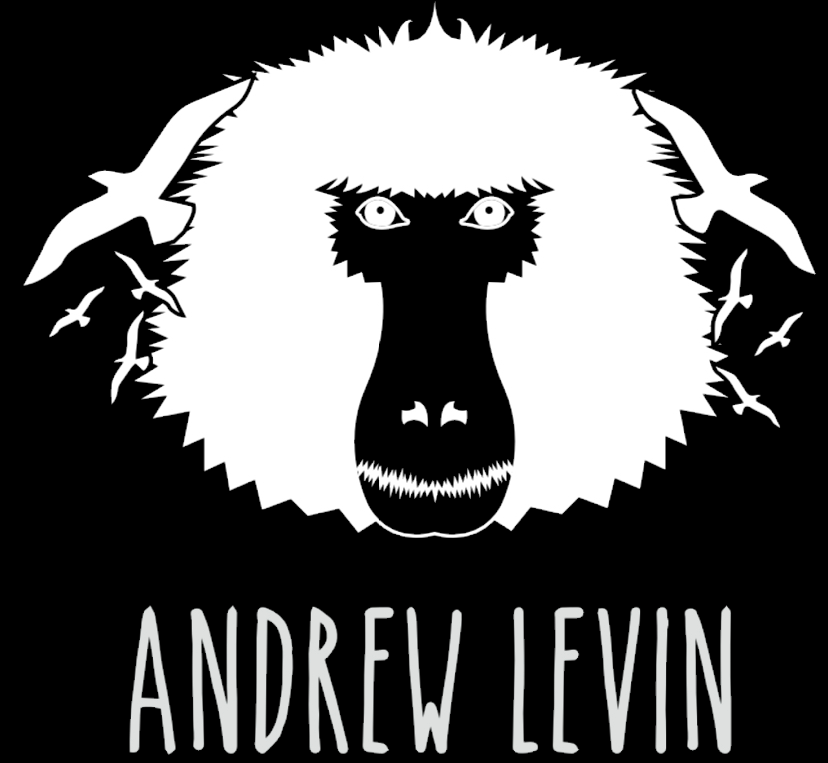 Andrew Levin Music