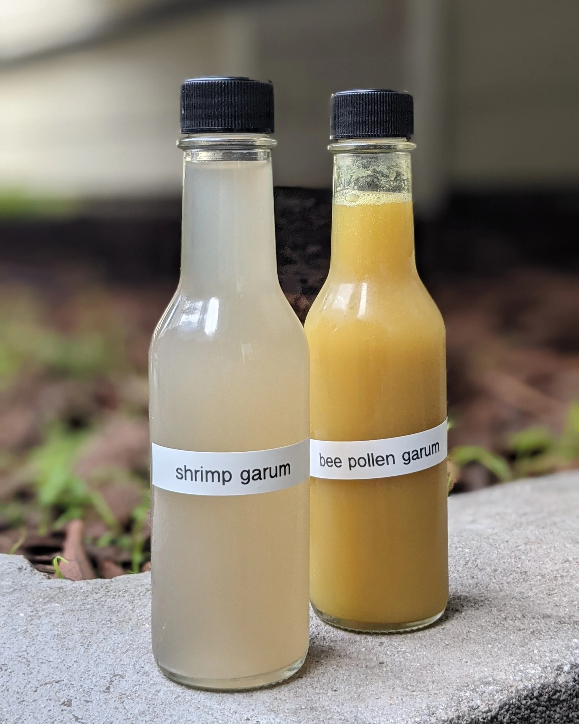 Will it garum? | Quick Garum Guide | culinarycrush