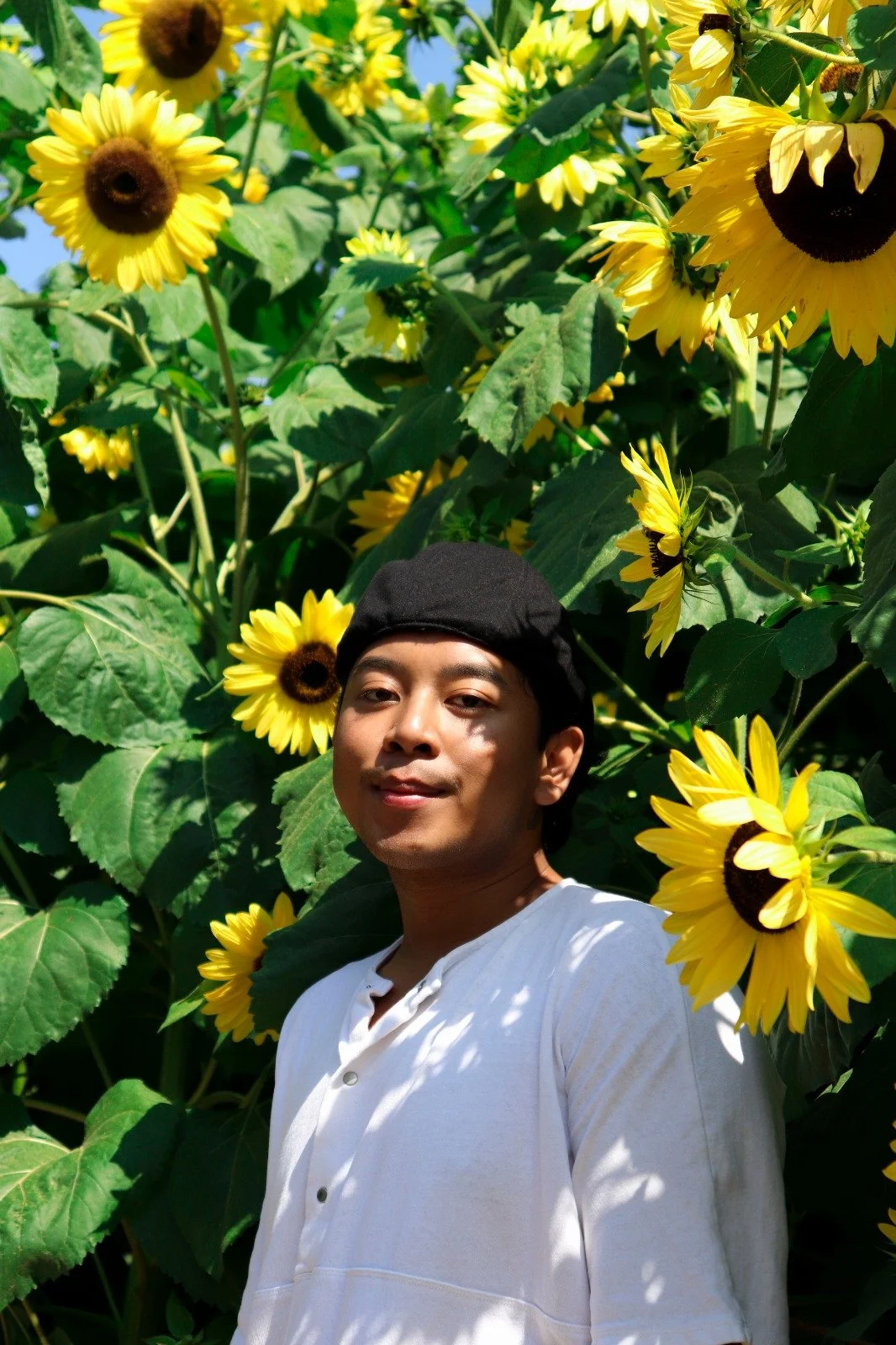 Toronto Faculty — Studio North