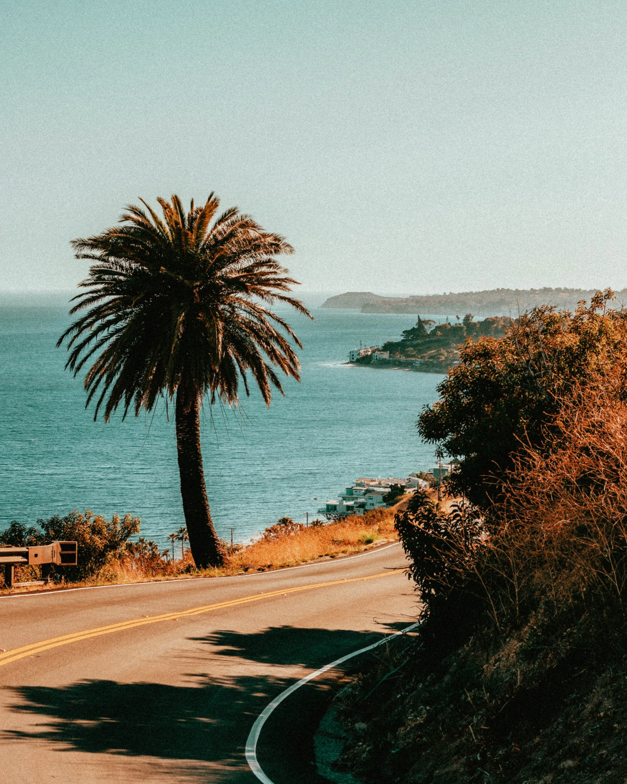 Summer Road Trip Tumblr