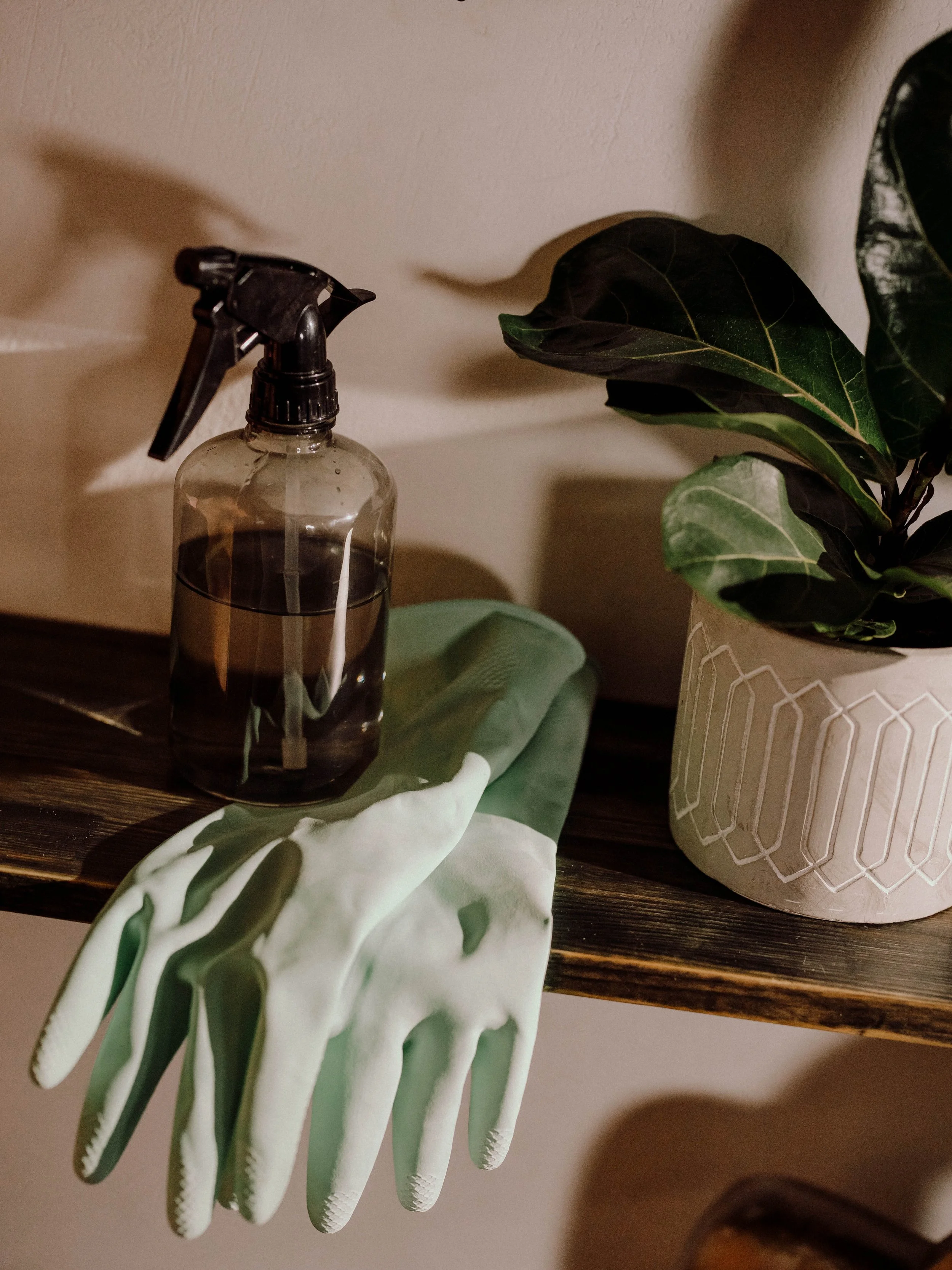 Eco-Friendly Cleaning Products You'll Love to Use — Maia