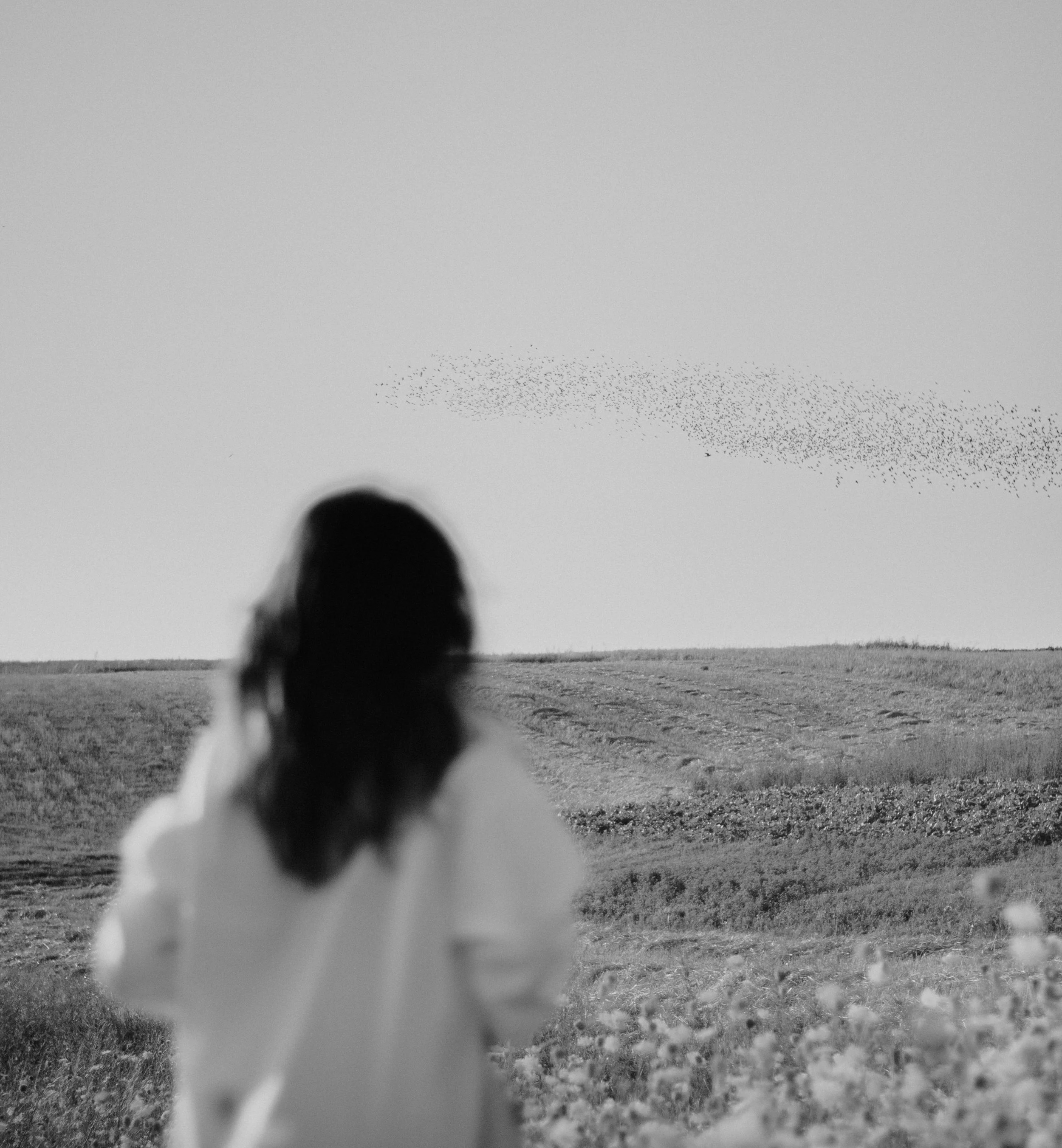 Abundant Life: How to Cultivate the Abundance Mindset — Maia