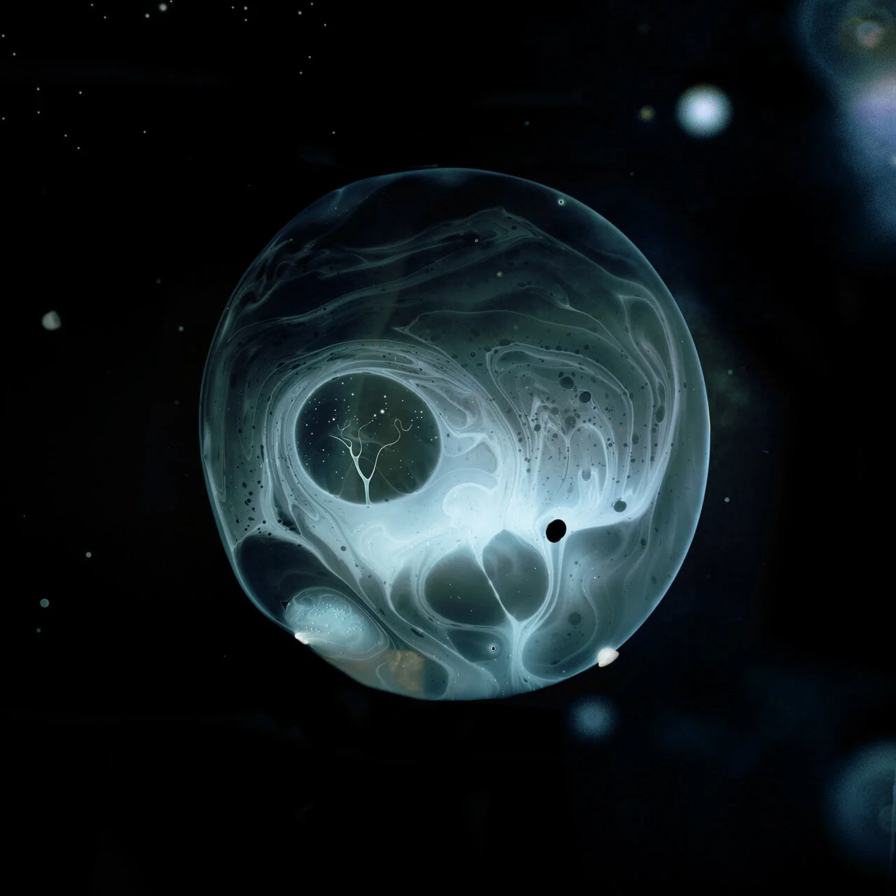 The Undivided Five - A Winged Victory For The Sullen — Davy Evans