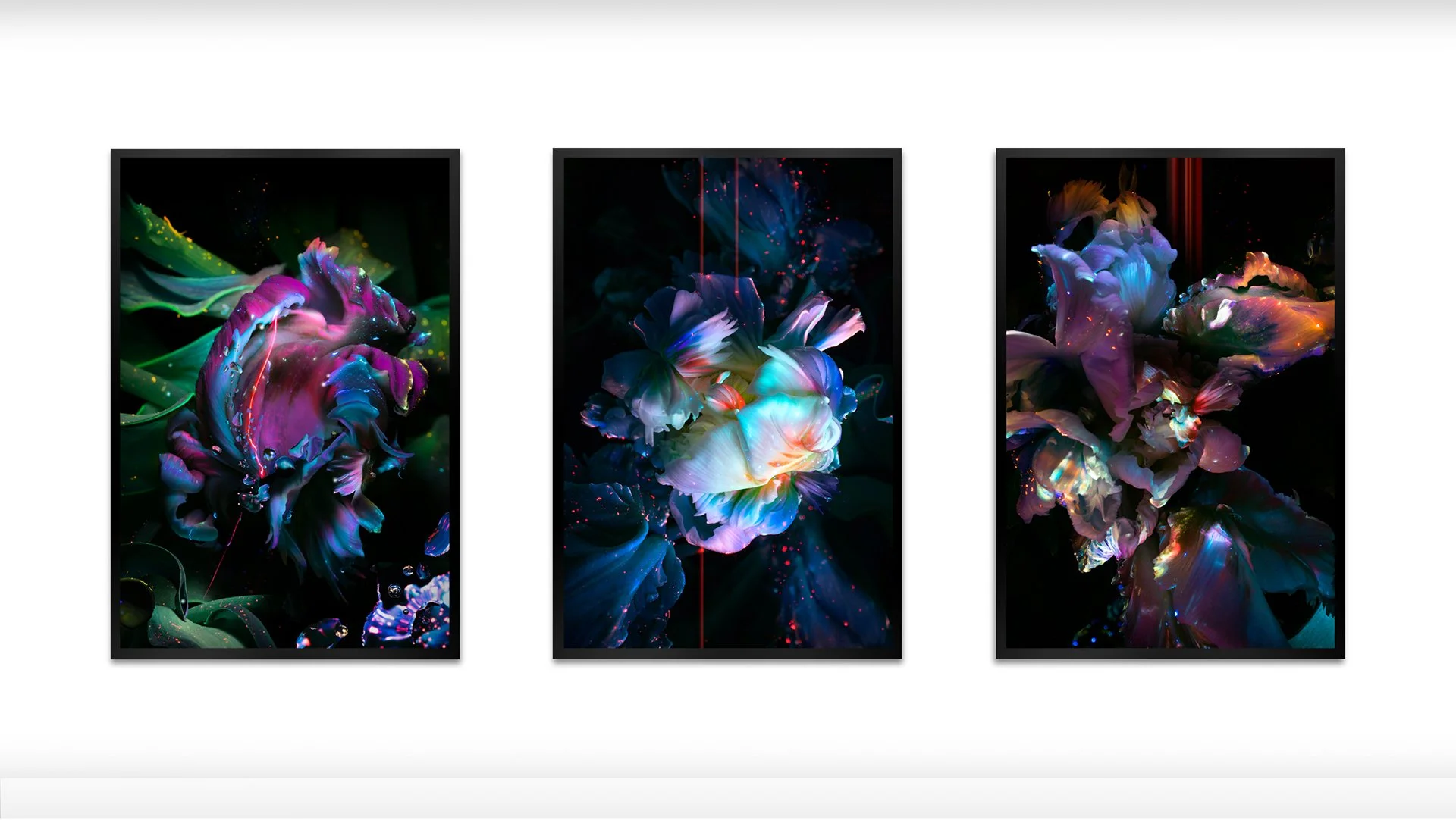 Fireflies — Davy Evans