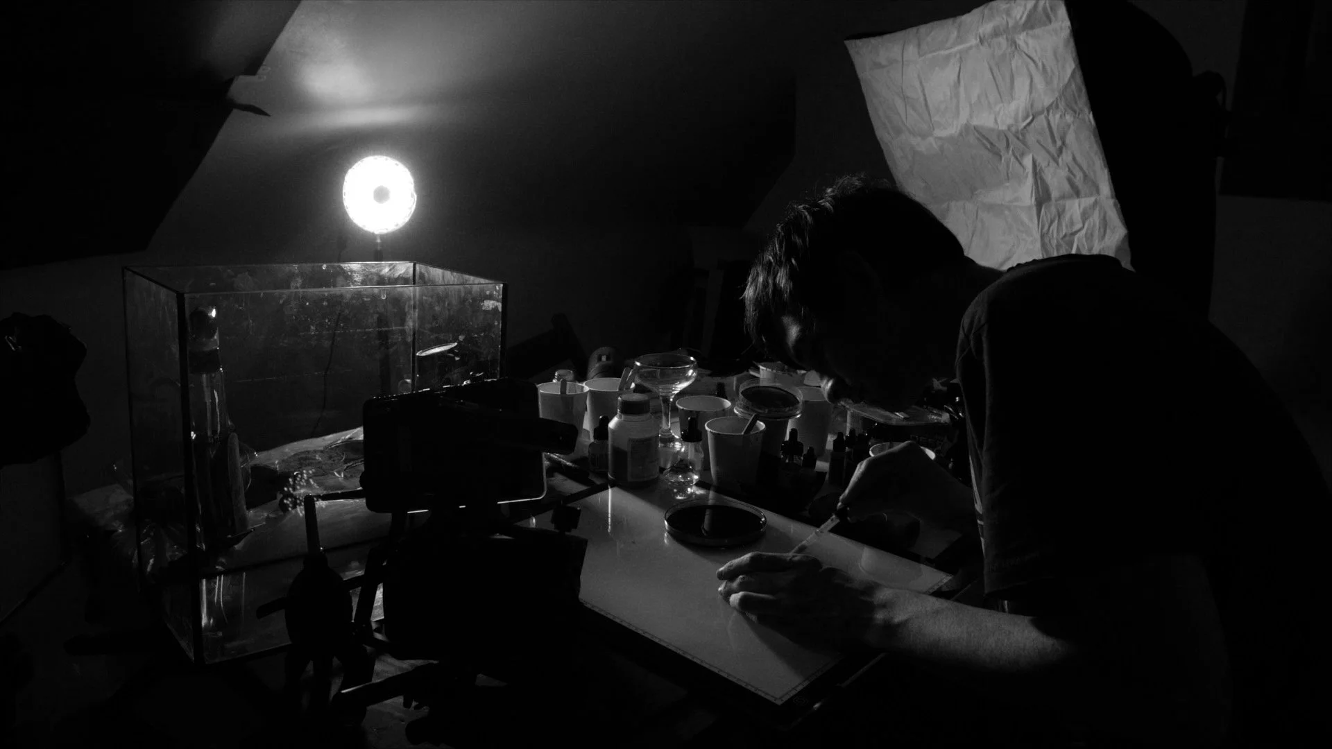 About — Davy Evans