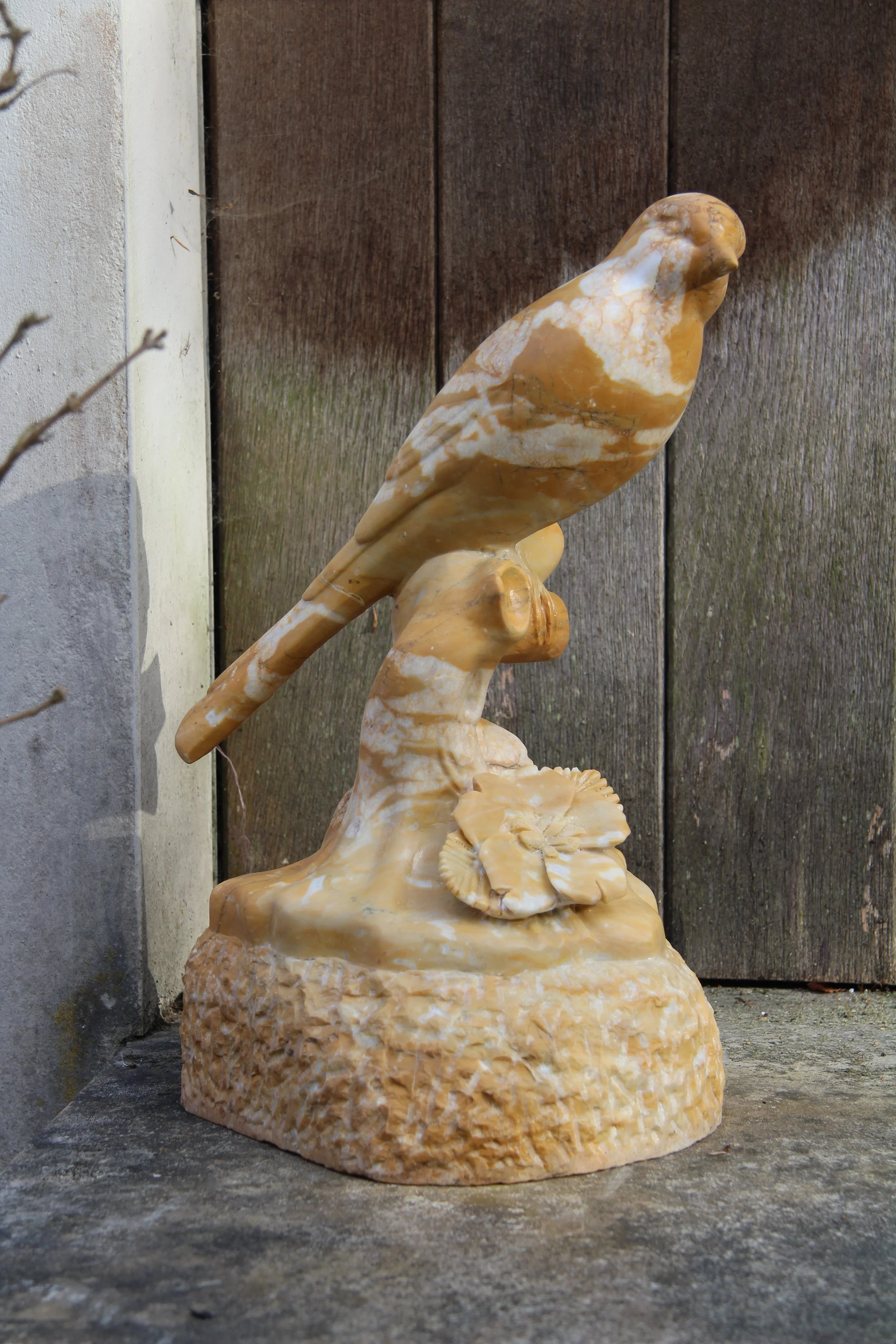 Corin Johnson — NewArtCentre.