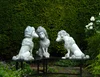 WORK OF THE WEEK: Laura Ford, Waldegrave Poodles, 2015 — NewArtCentre.