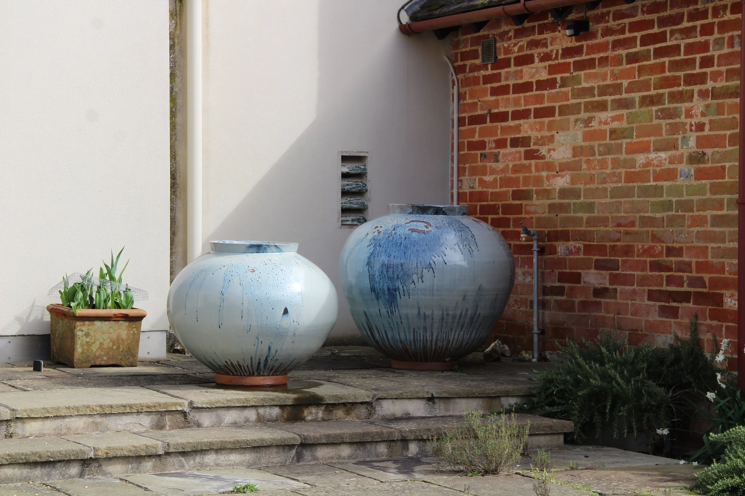 Artist Page | Adam Buick — NewArtCentre.