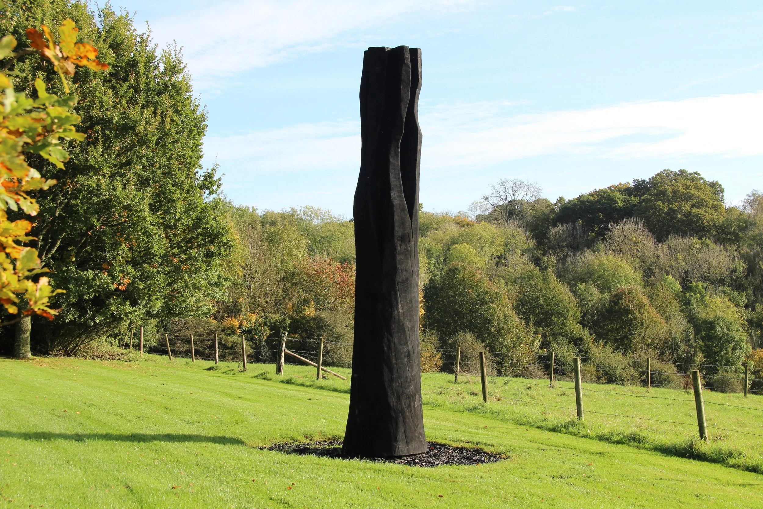 Happy St David’s Day — NewArtCentre.