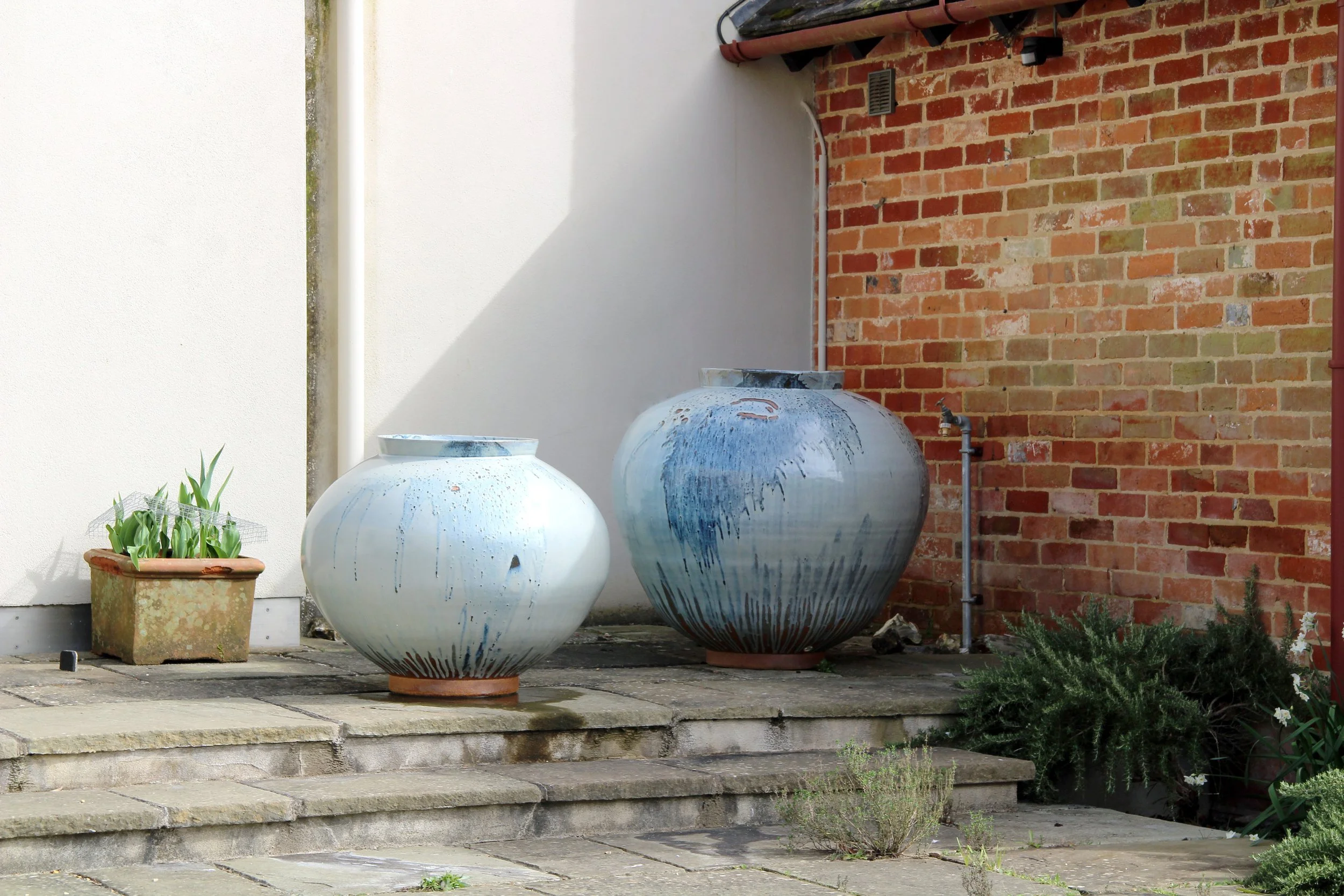 Artist Spotlight I Adam Buick — NewArtCentre.