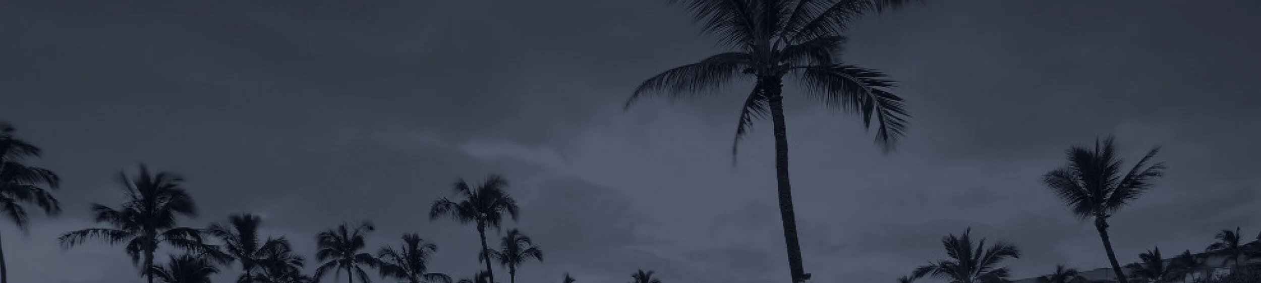 ALOHA HAWAII — Atlas Experiences