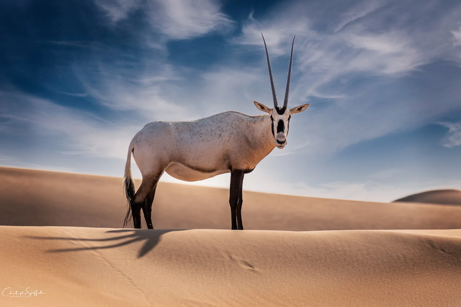 Dubai — Christopher Spafford Photography