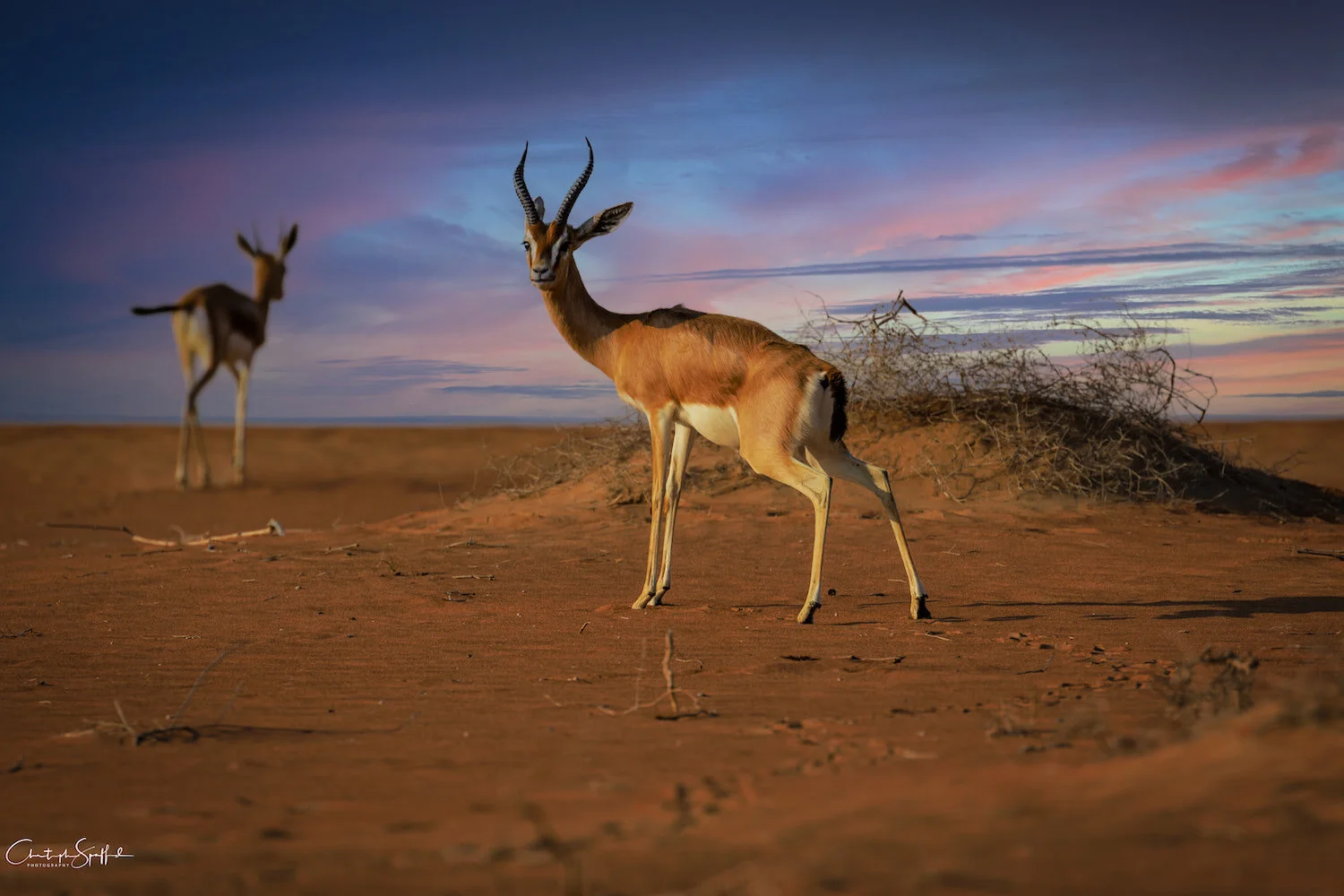 Dubai — Christopher Spafford Photography