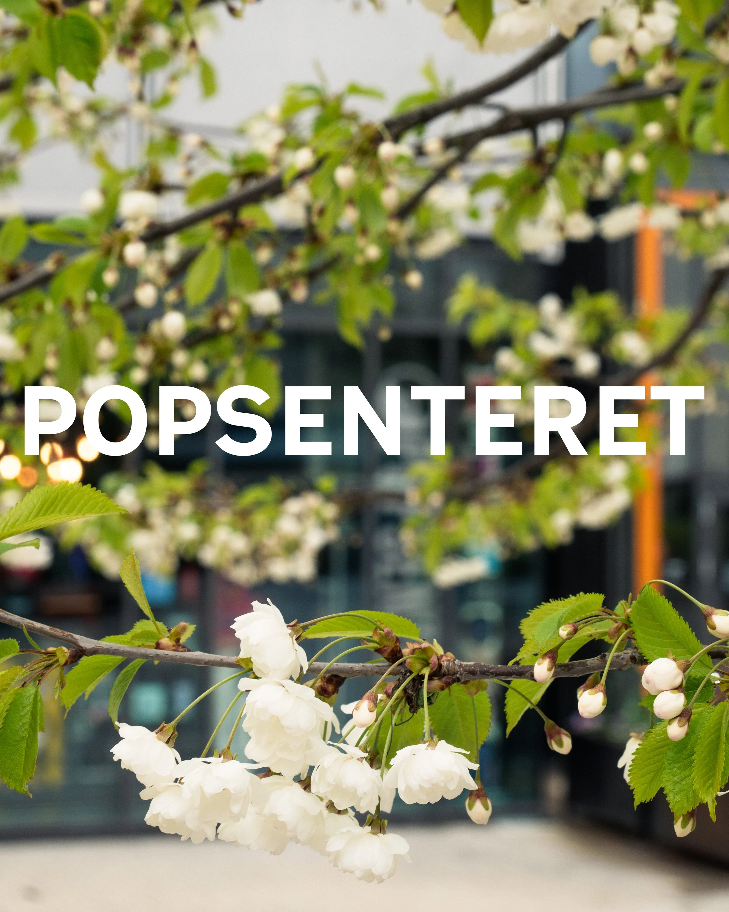 Popsenteret
