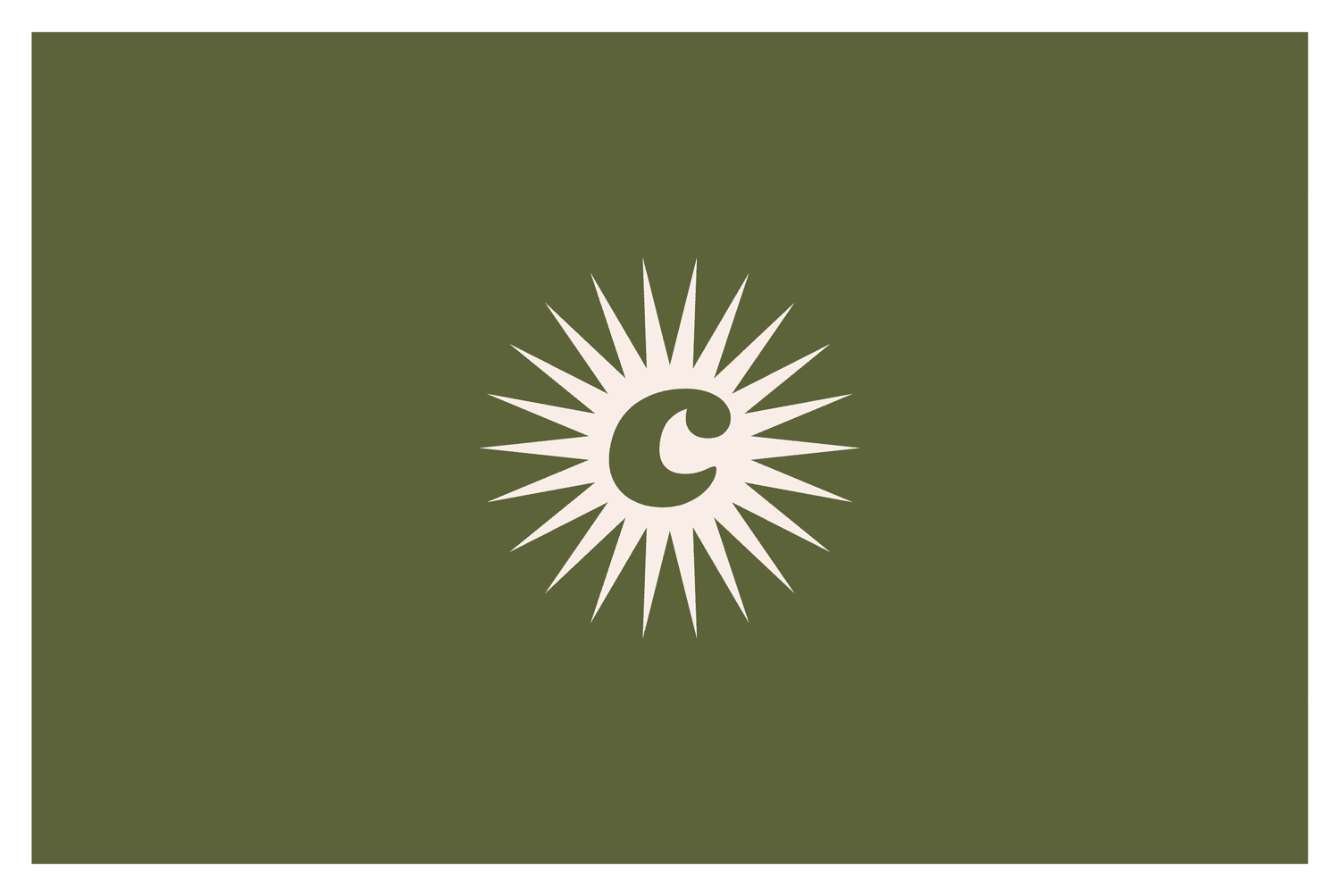 The Cactus Shop Branding: Design by Agosto Creative Studio — Agosto ...