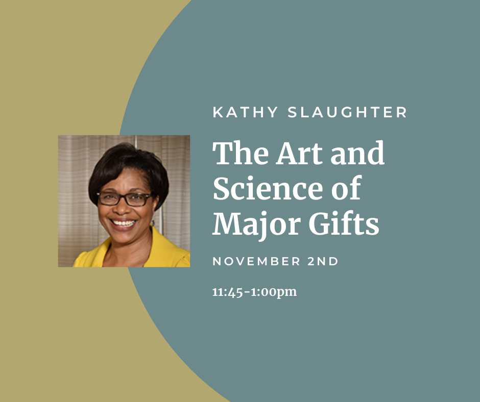 PIDN Programs — PIDN - Professionals in Development Network