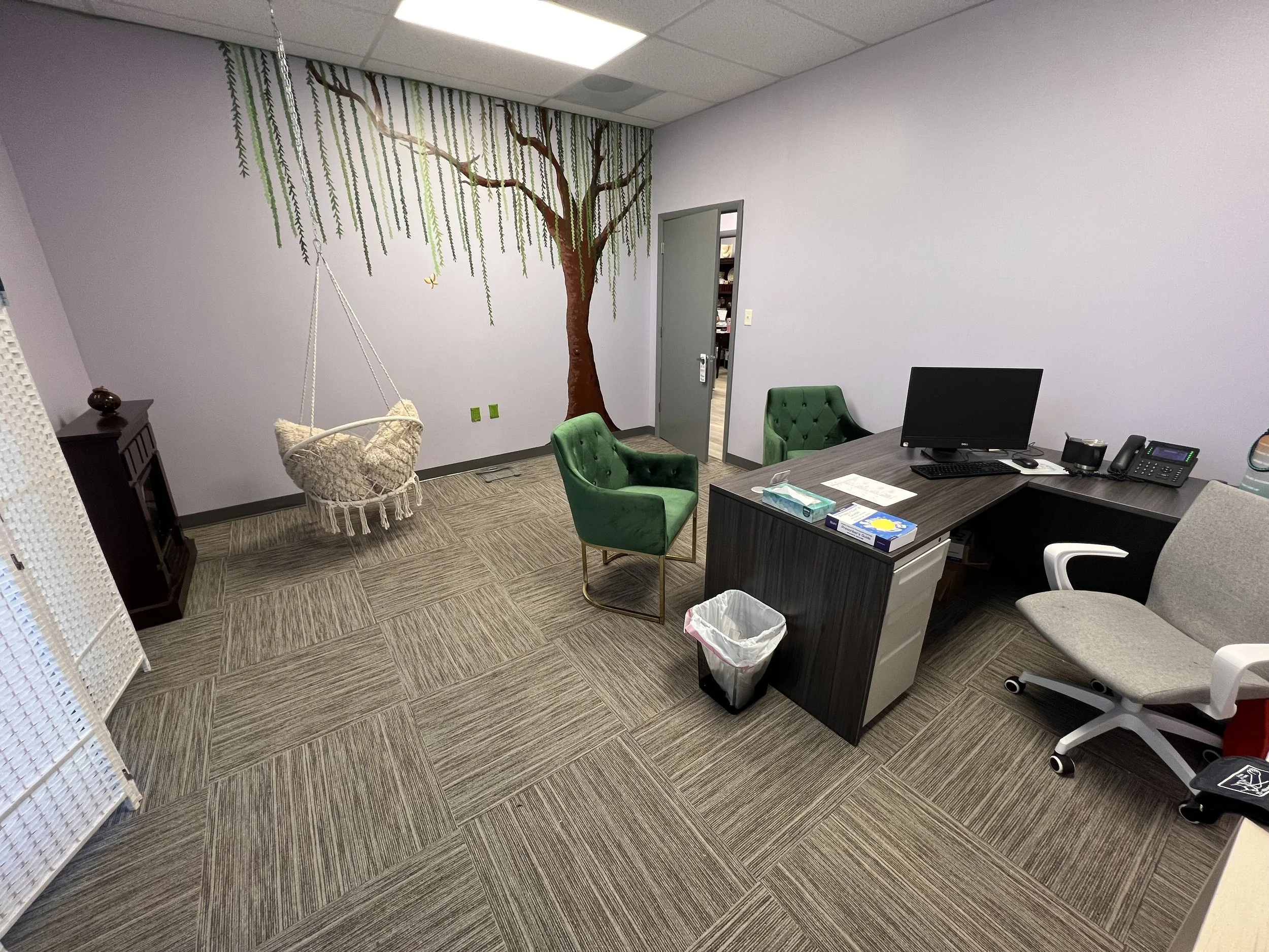 Advanced Practice Psychiatric Solutions