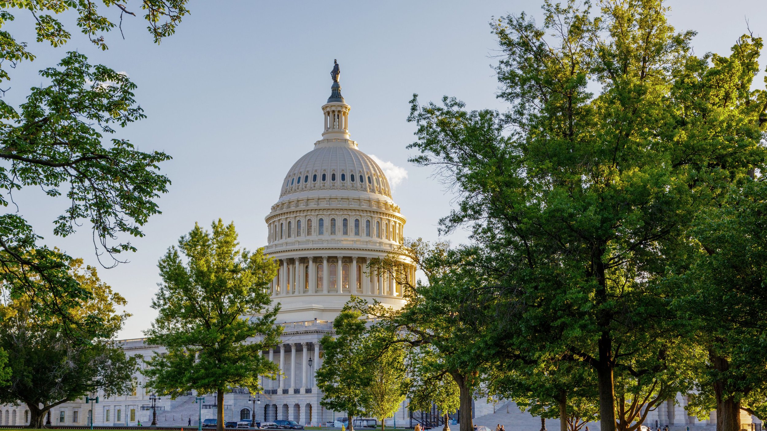 Government Supported Programs Overview - Odyssey International Exchange