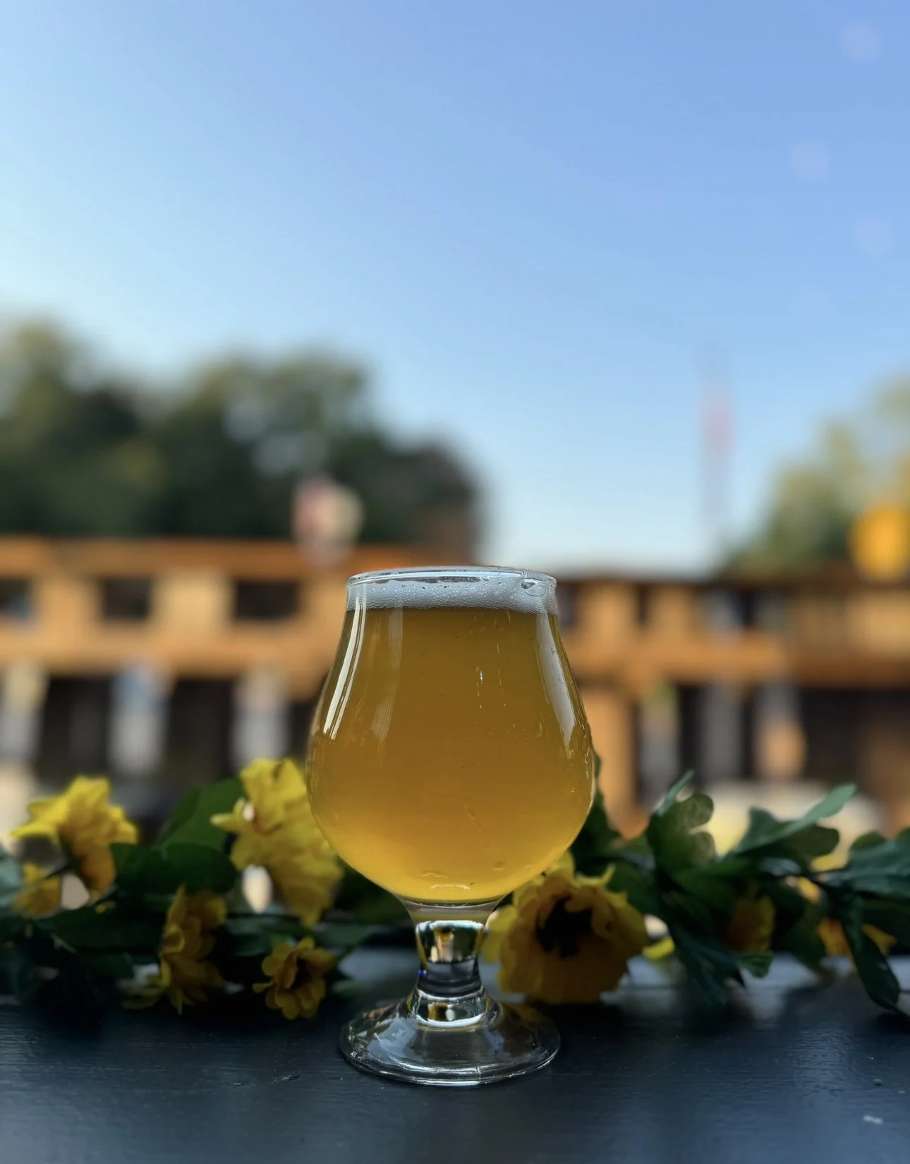 ON TAP — Lions Roar Brewing Company