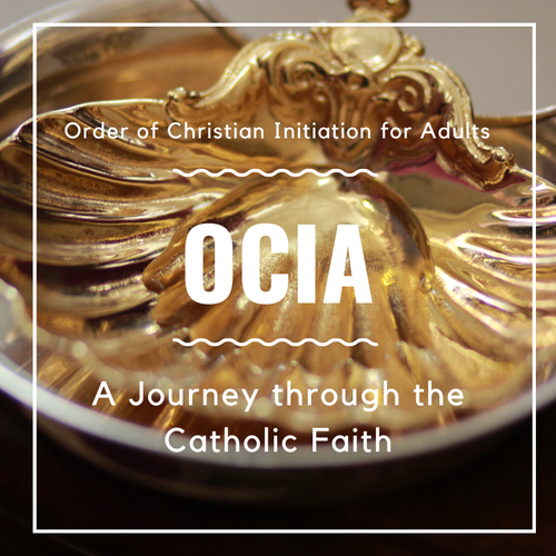 News & Events — St. Mary Magdalene Catholic Church