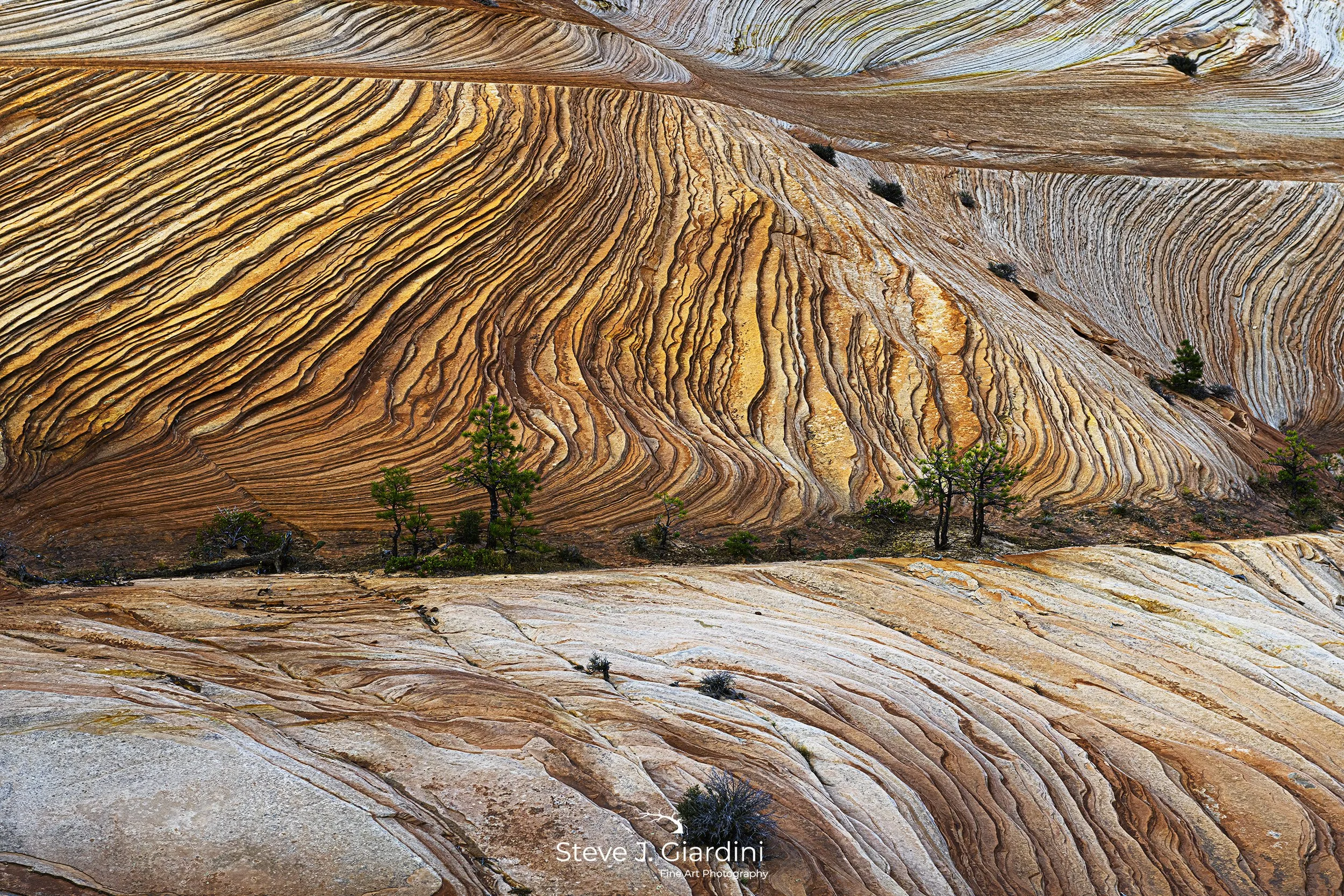 Creative National Parks & Monuments Color Photographs — Steve J ...