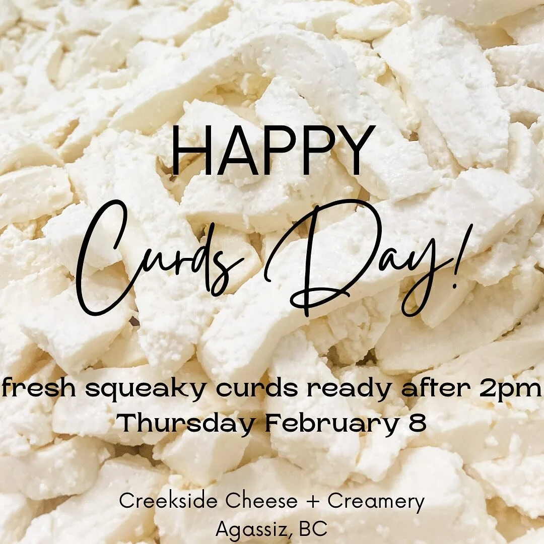 Creekside Cheese + Creamery