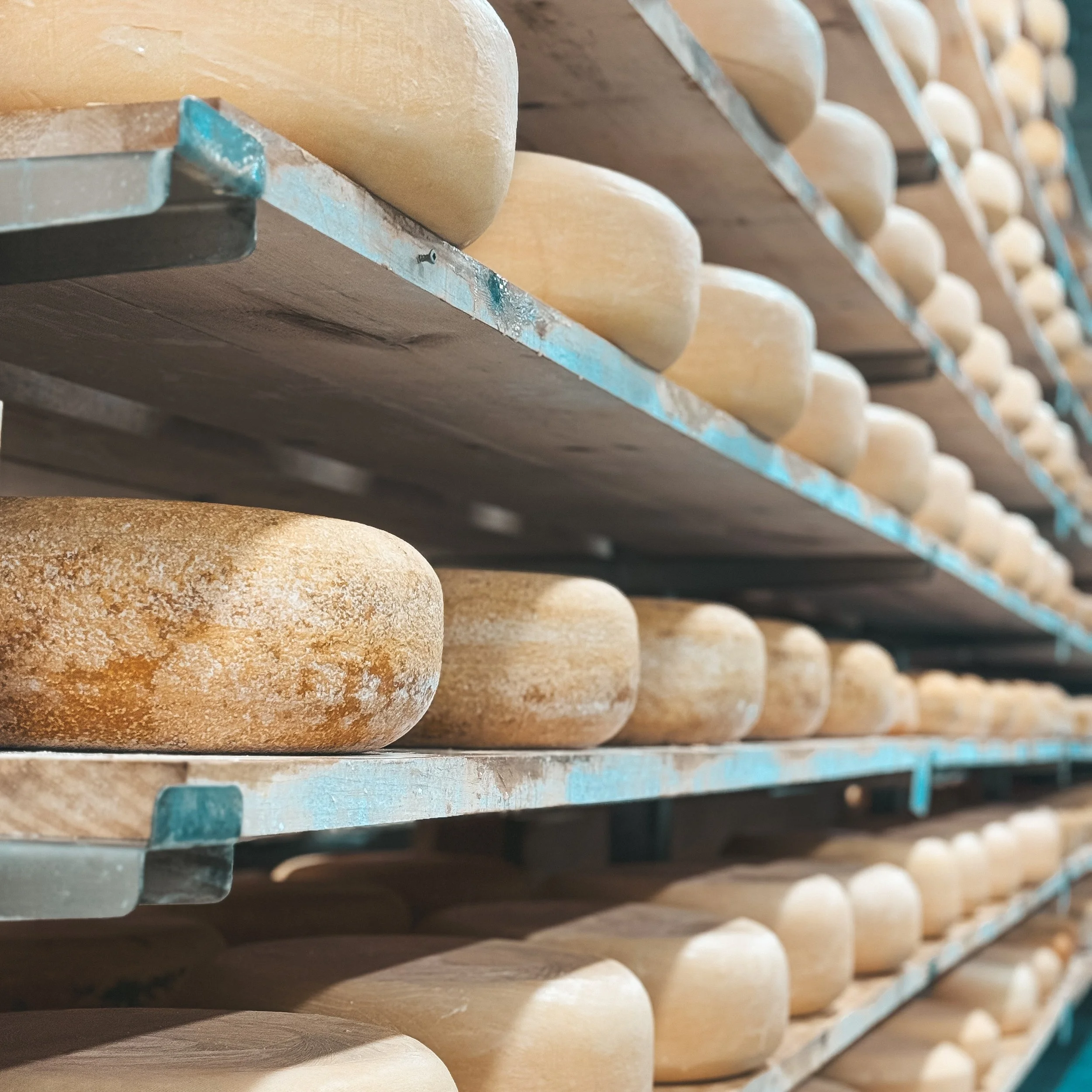 Creekside Cheese + Creamery