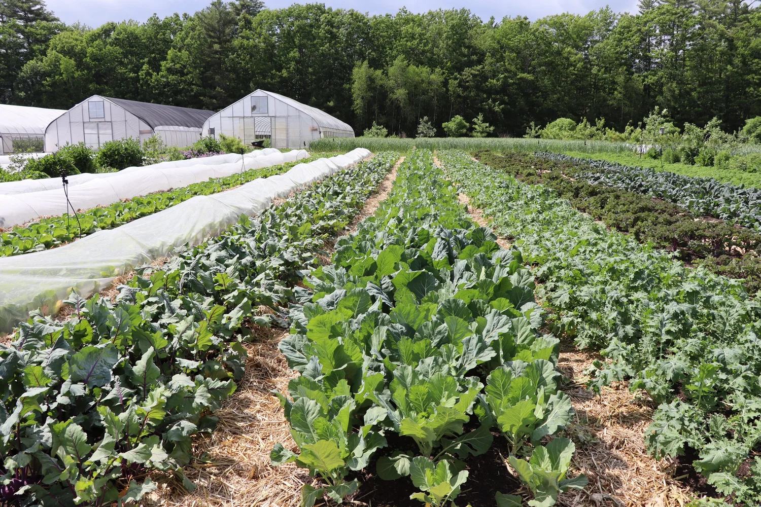 Resources — Urban Soil Health