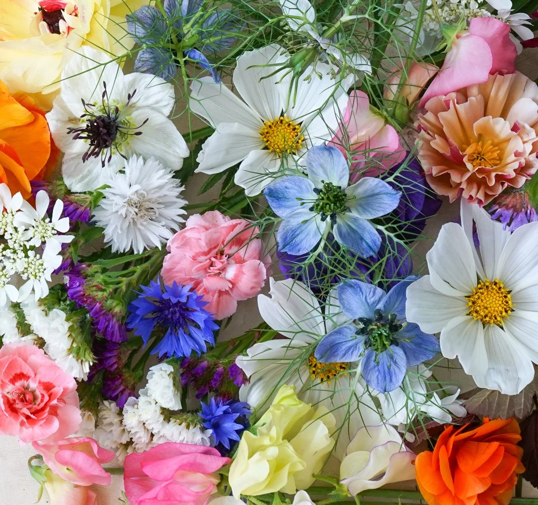 Moorfield Farm Flowers