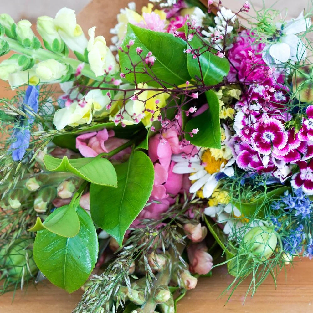 Shop - Seasonal, sustainable, and locally grown flowers — Moorfield ...