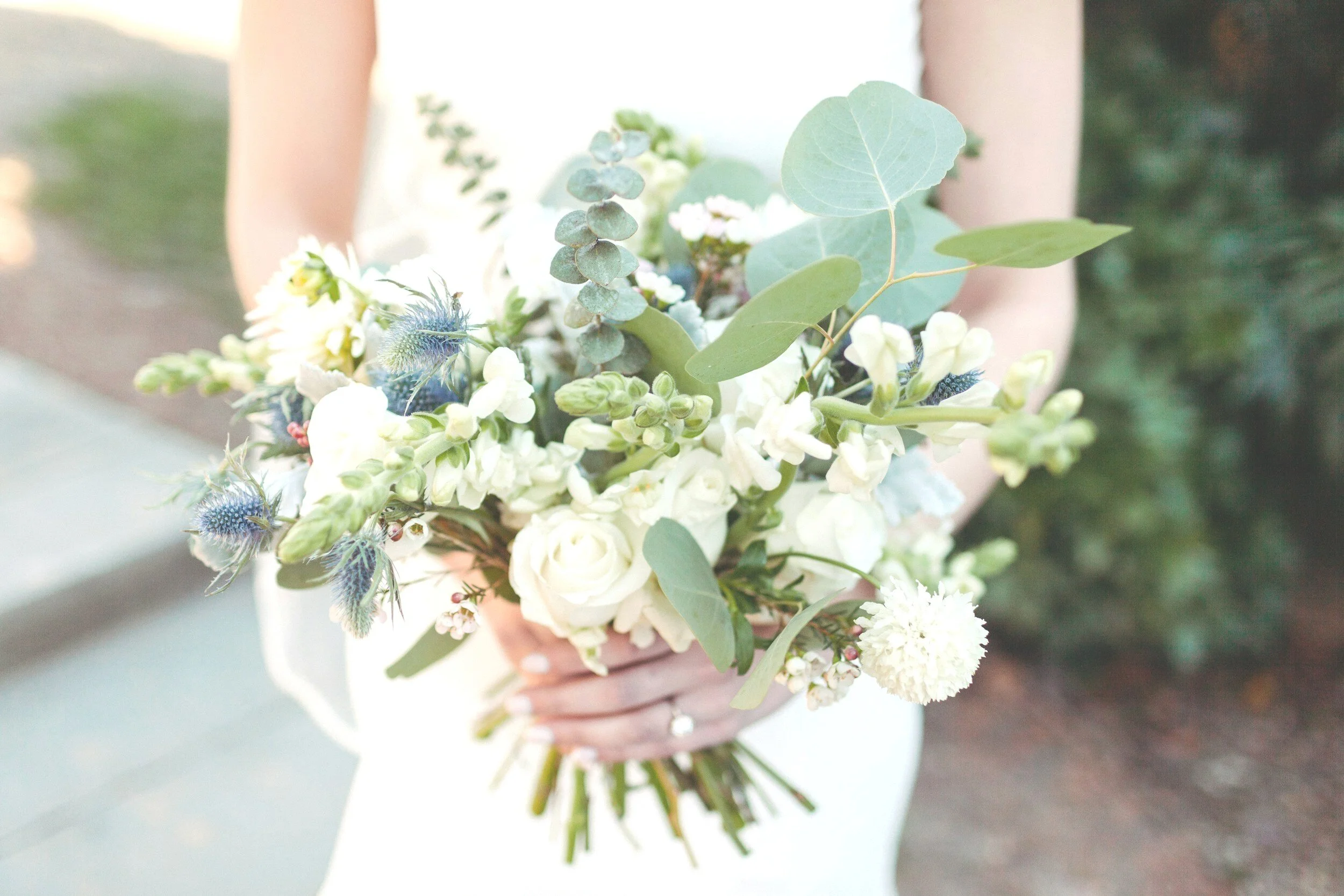 Moorfield Farm Flowers - British Grown Flowers for Trade and Public