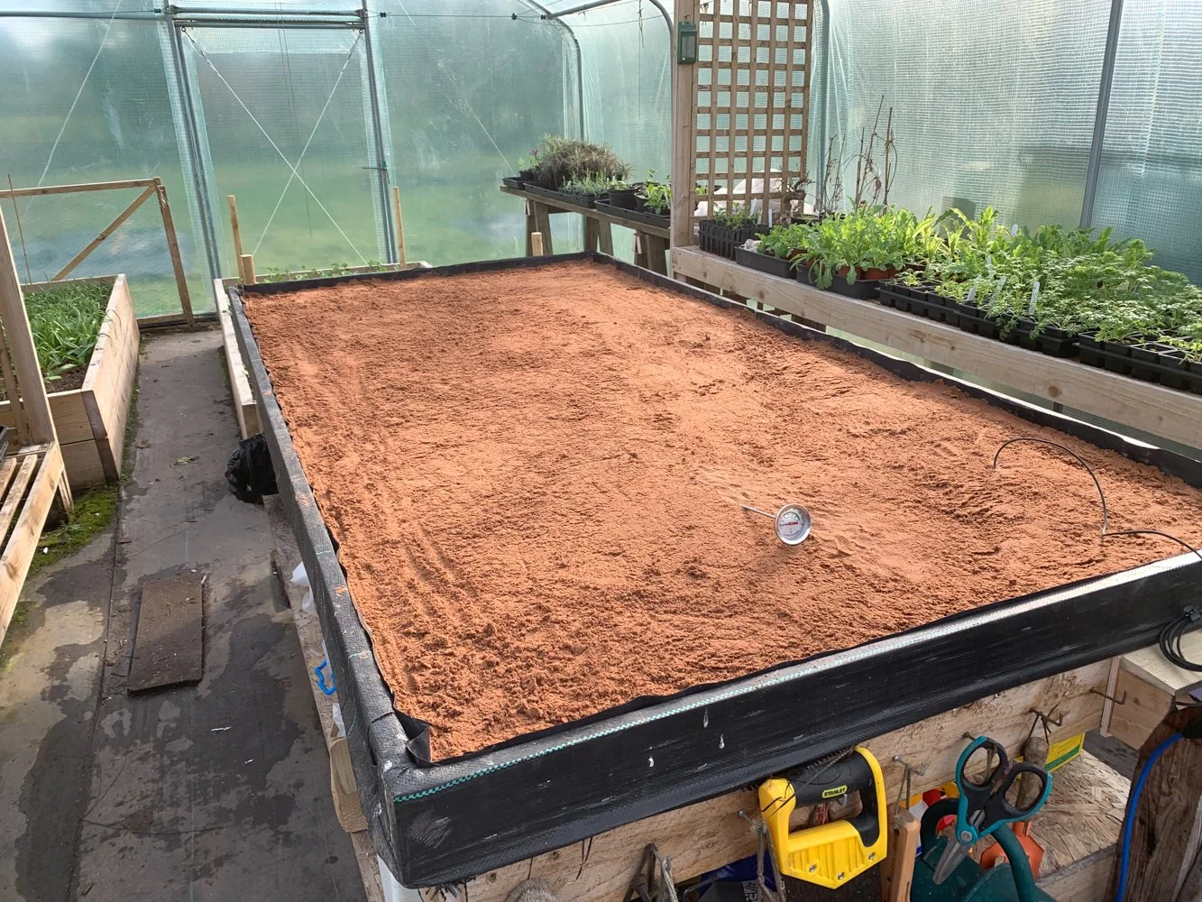 Heated propagation bench — Moorfield Farm Flowers
