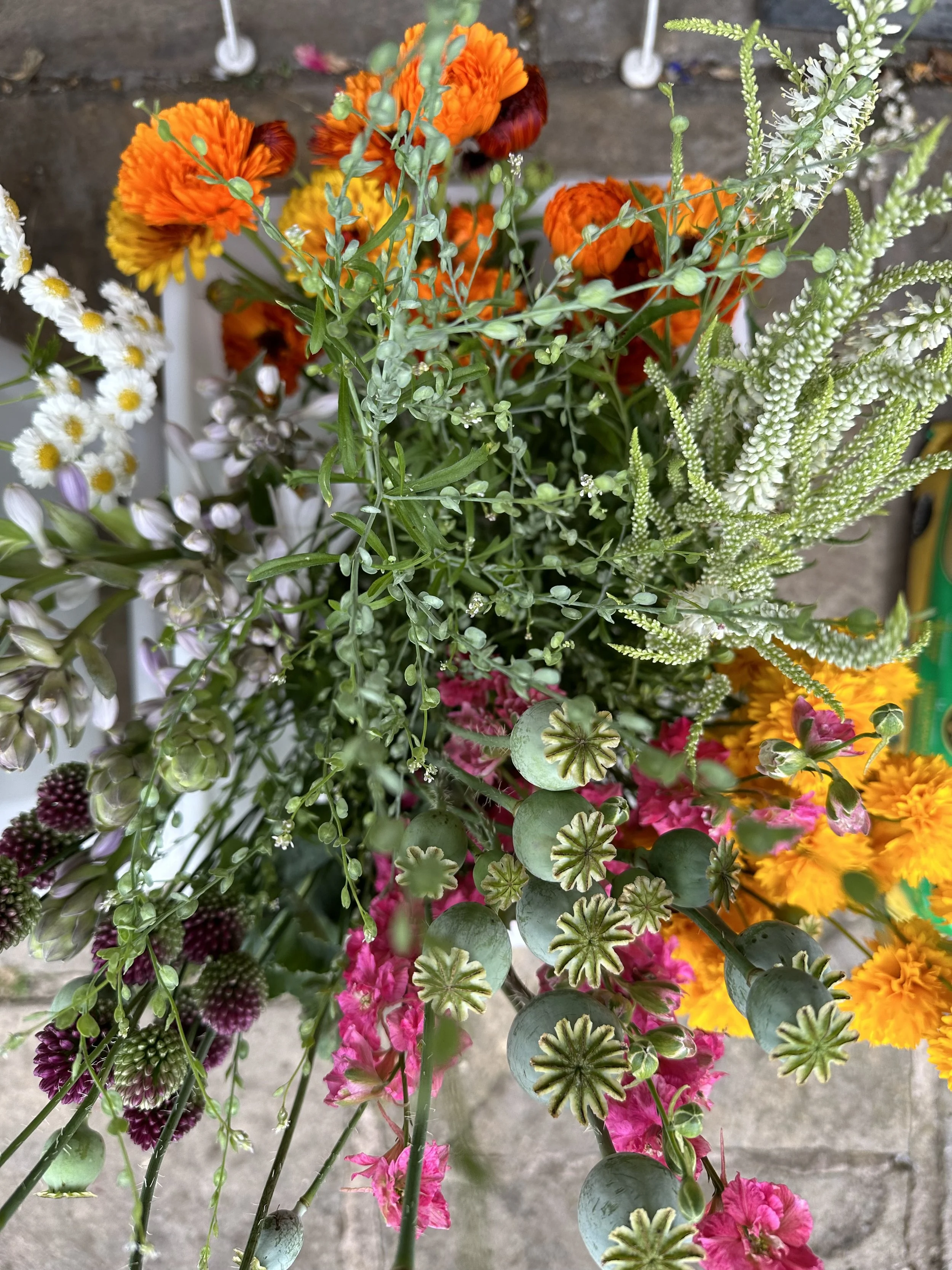 British Flowers Grown in Cheshire for Trade, Florists & Weddings ...