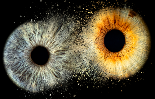 Iris Photography- Infinite Eye Photography