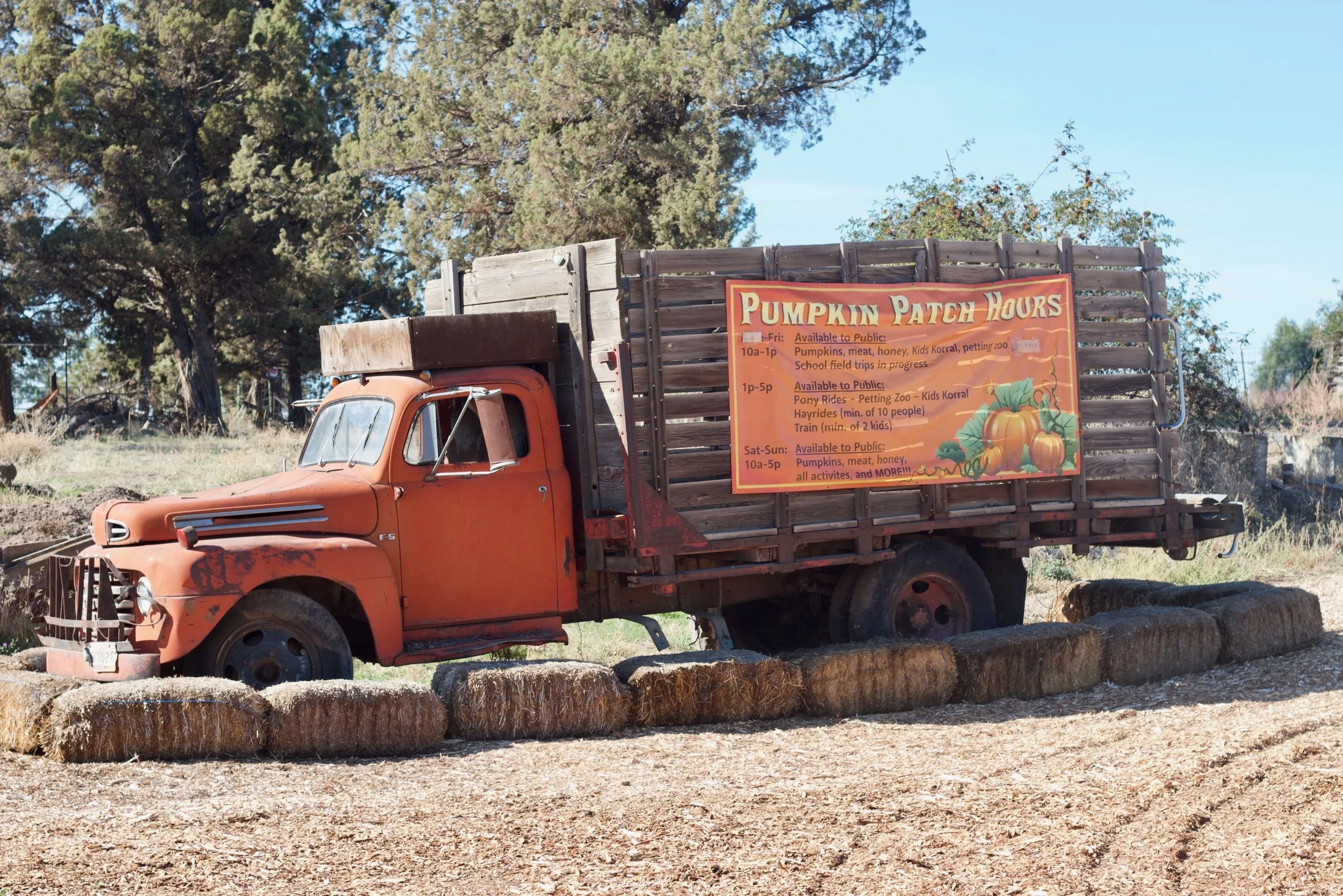 Pumpkin Patch — DD Ranch
