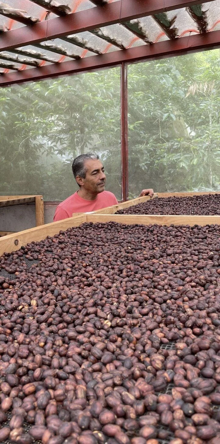 Infusion Coffee Starter Pack — Infusion Coffee & Tea Crafters